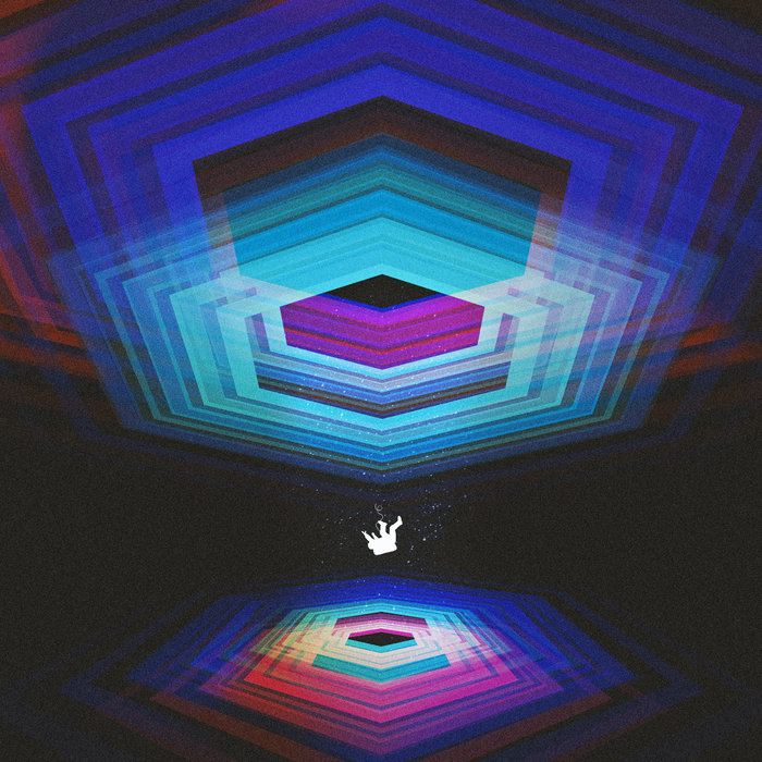 transition | animals in motion