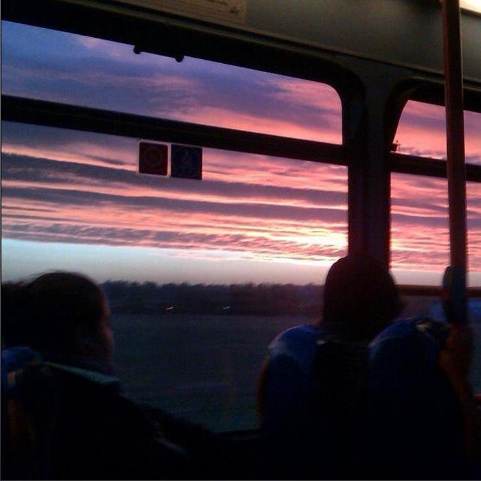 Songs For Public Transport | Luna Webster | LunaWebster