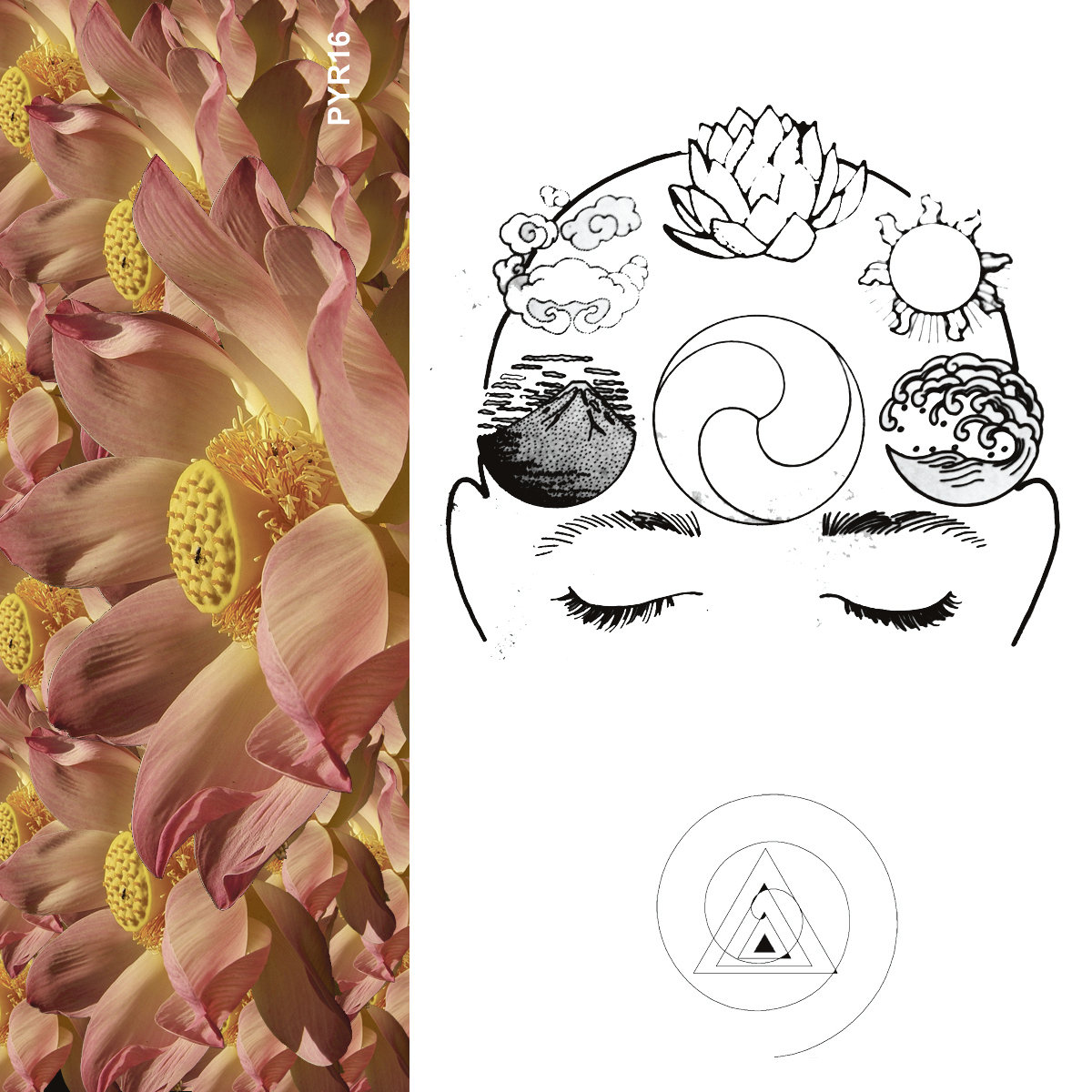 Self Born in the Lotus Flower (c40) | Nectar of the Moon | rainbow pyramid