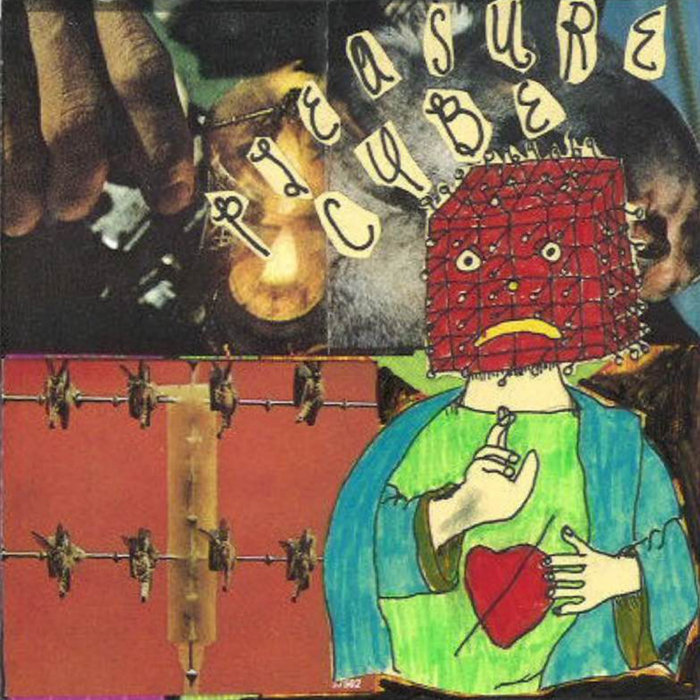 True Hallucinations | Pleasure Cube