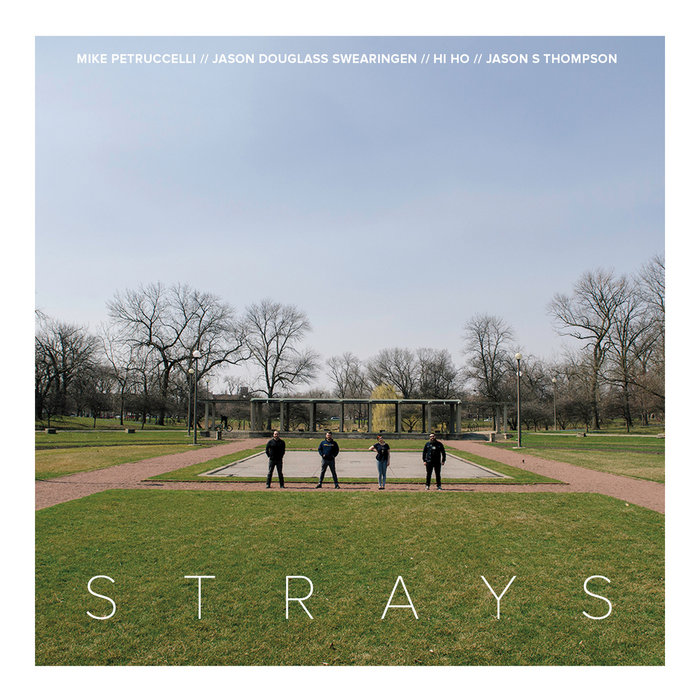 STRAYS | Jason Douglass Swearingen