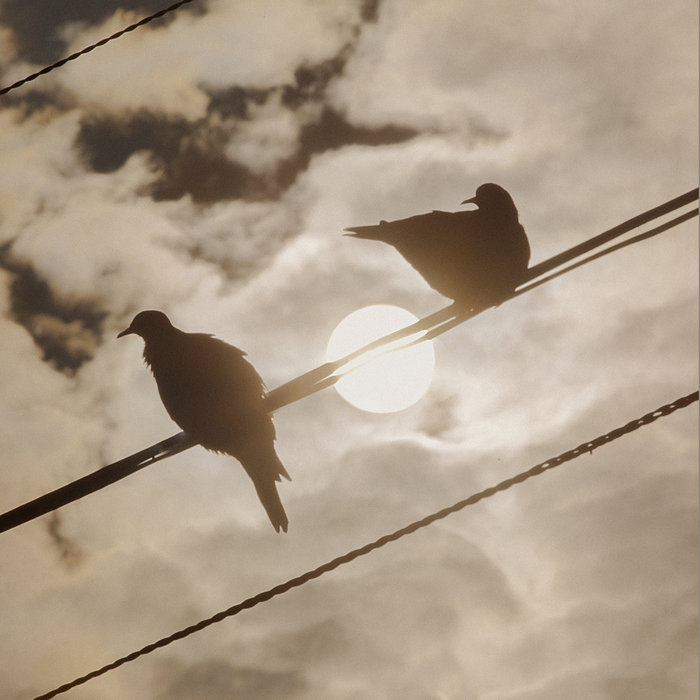 Extracts | Sean Croft