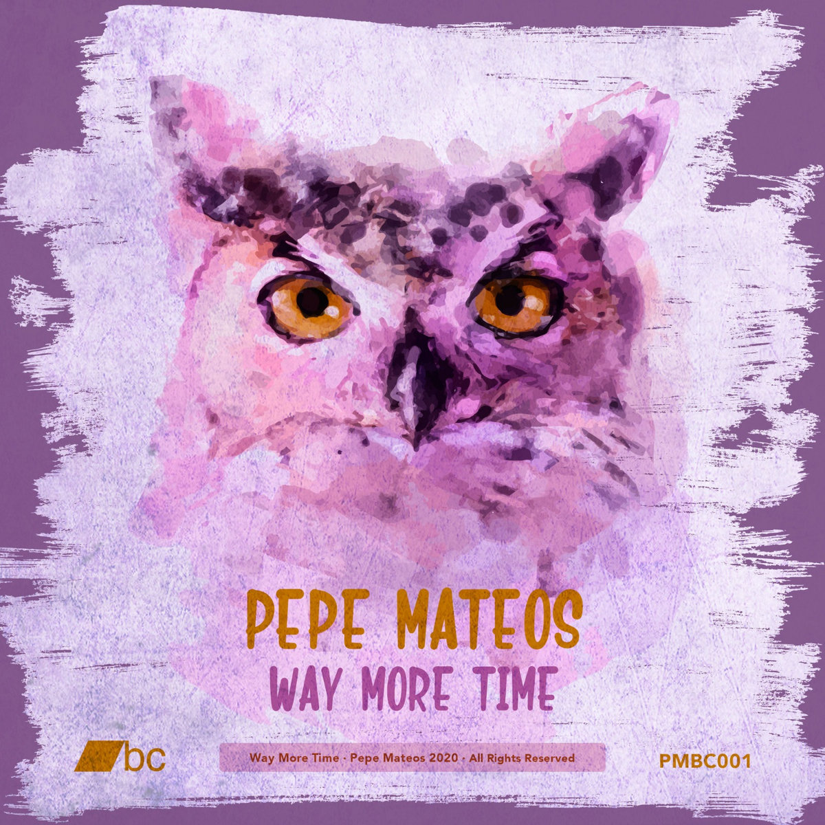 Drake Album Covers Owl