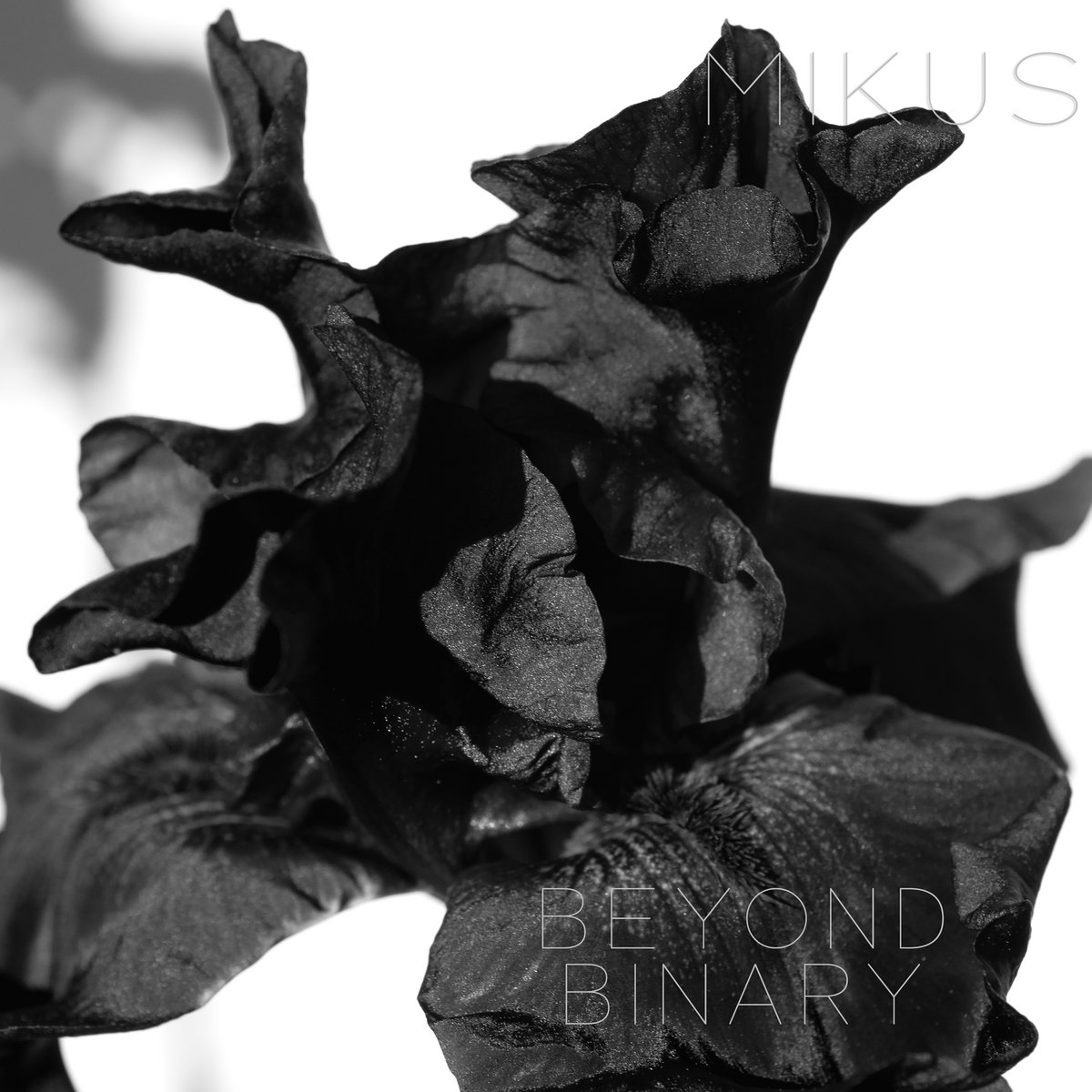 Beyond Binary | Mikus