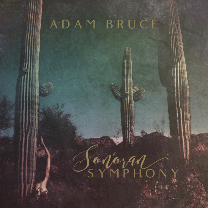 Sonoran Symphony | Adam Bruce