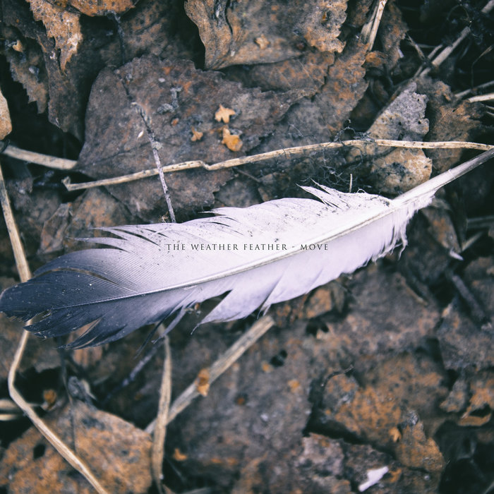 Move | The Weather Feather
