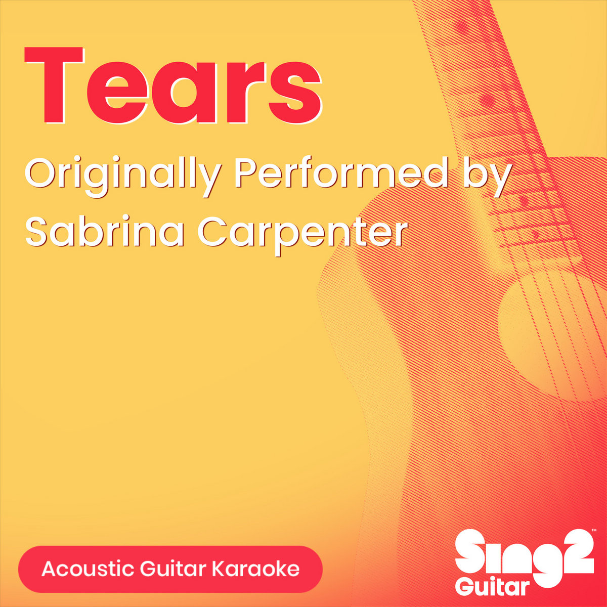 Tears (Originally Performed by Sabrina Carpenter) (Acoustic Guitar ...