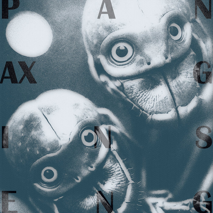 Panax Ginseng | Sdacse Joung Suppression | Cattam Klt.