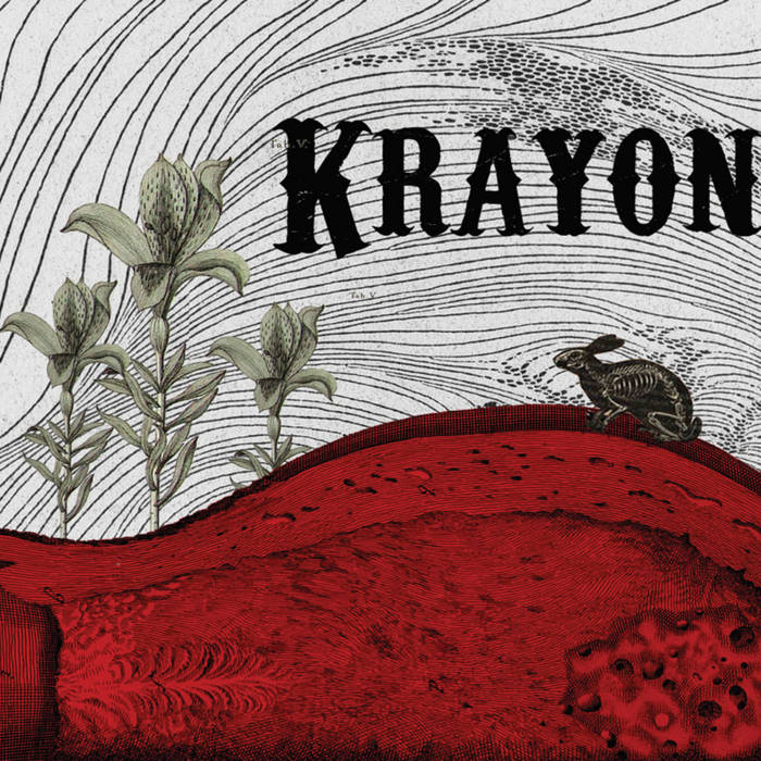 KRAYON (LP) | krayon | KRAYON
