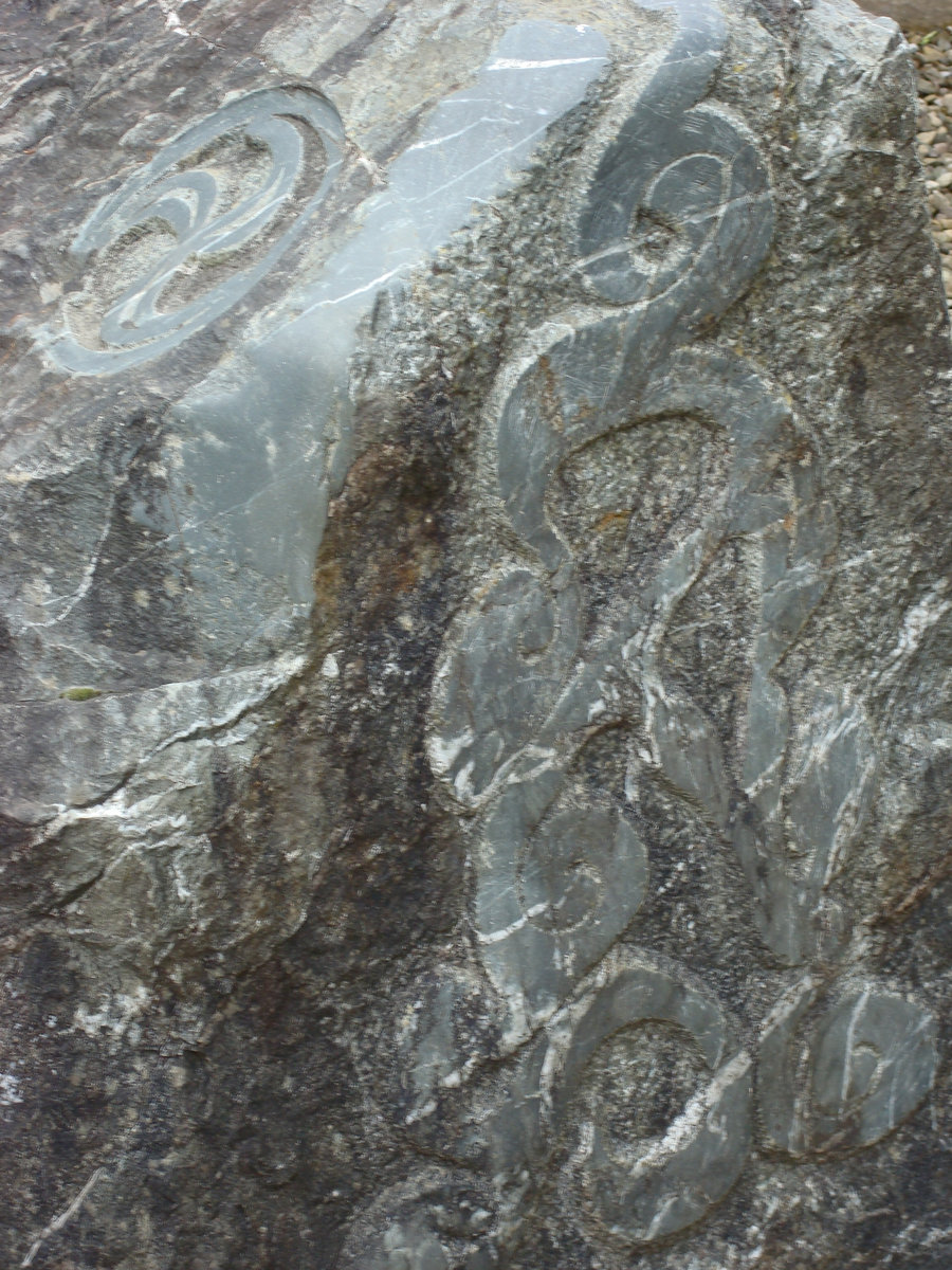 The Stranger's Path | Mike Braudrick