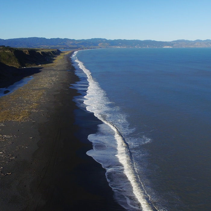 EDITION 001 Palliser Bay | Tim Prebble - HISSandaROAR | HISSandaROAR