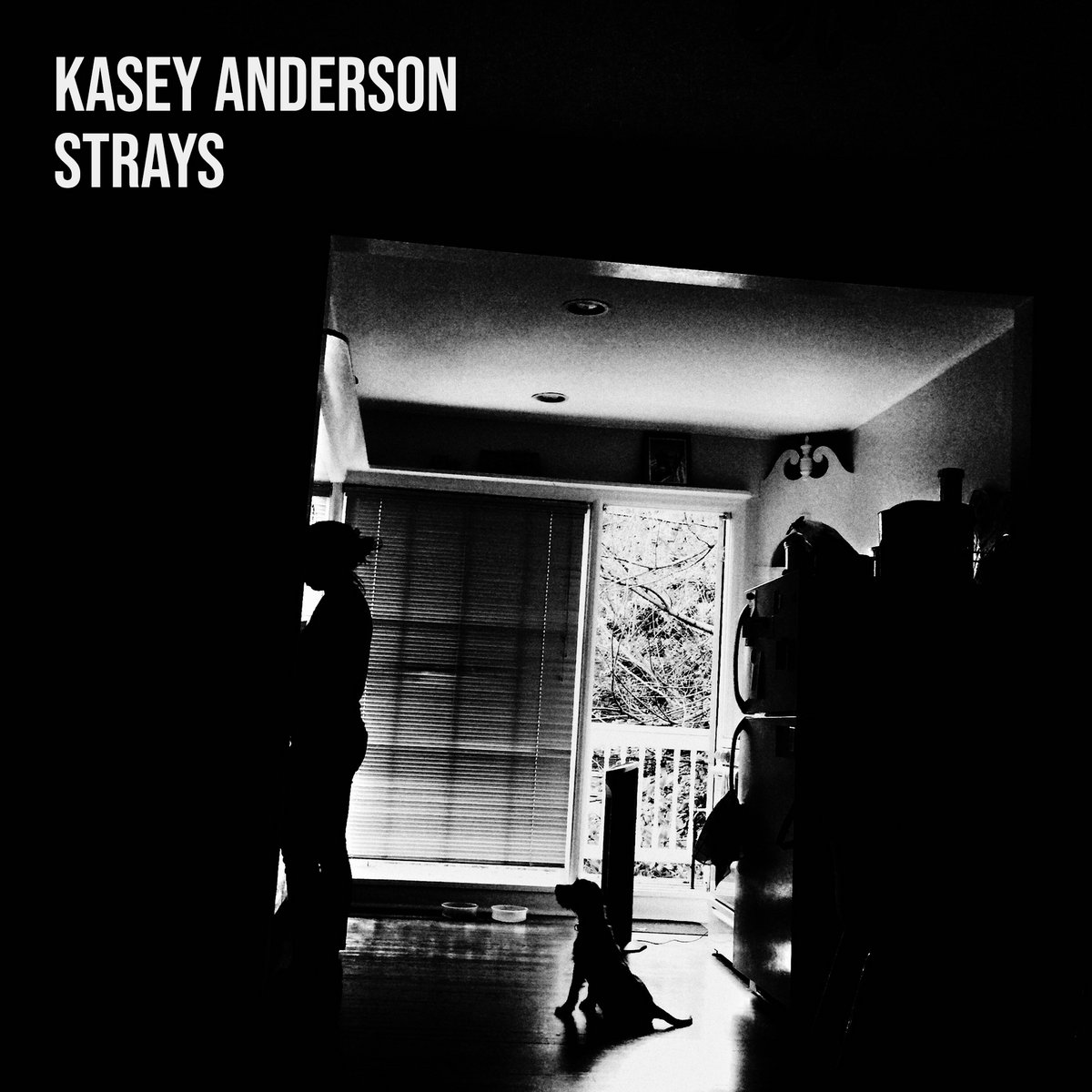 Strays | Kasey Anderson