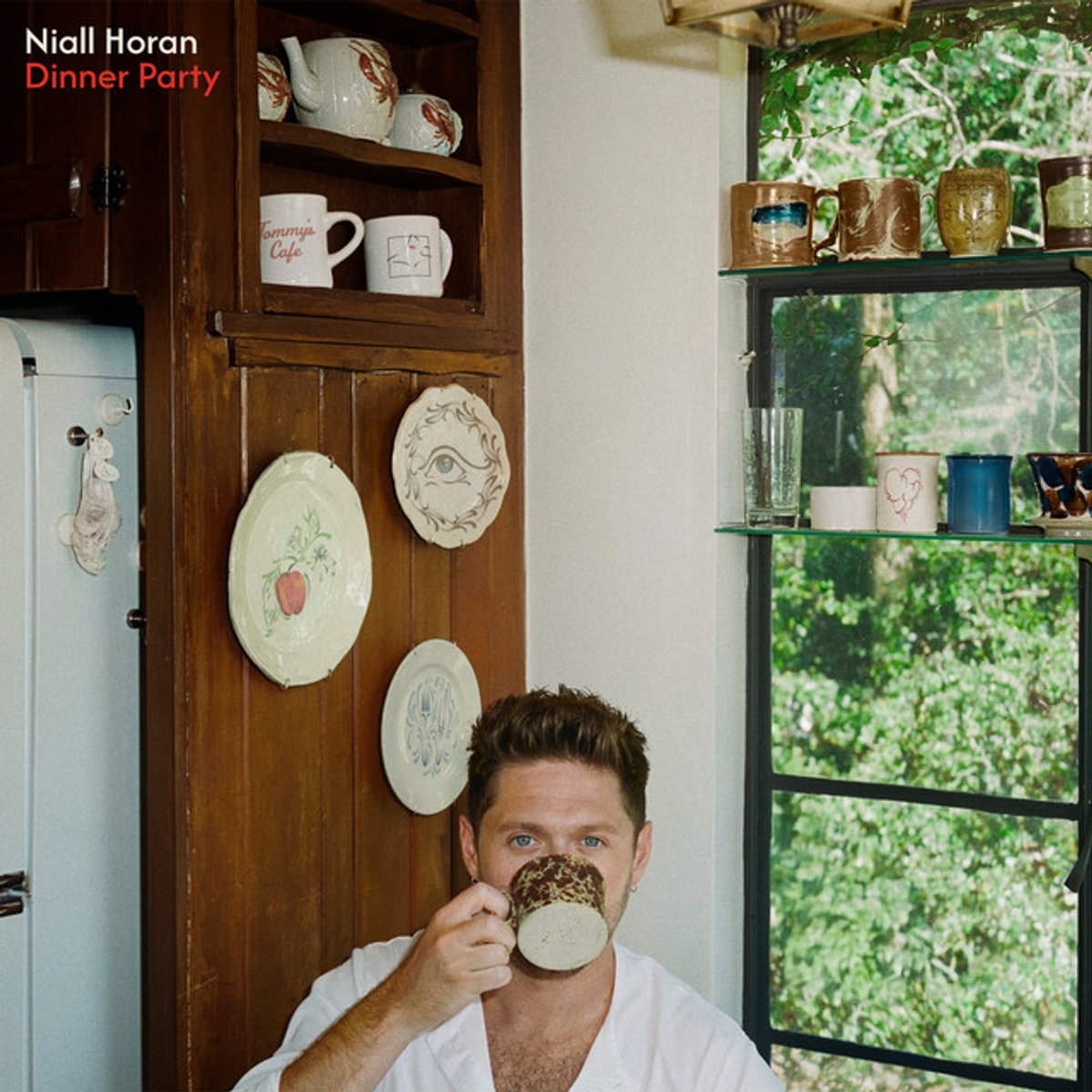 Dinner Party | Niall Horan