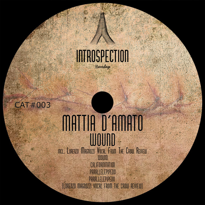 Wound EP (Lorenzo Magnozzi Vocal From The Crow Review) | Mattia D'Amato ...