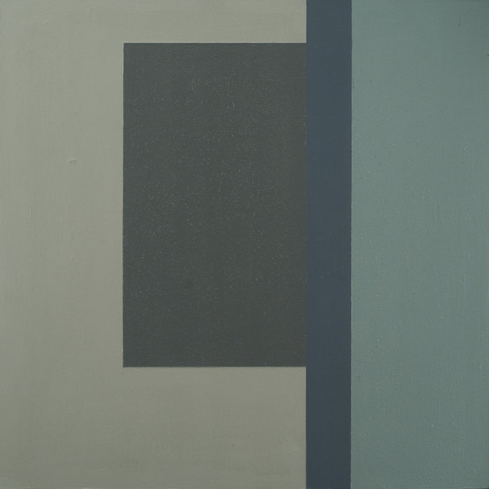 star reflection pond | David Beardsley