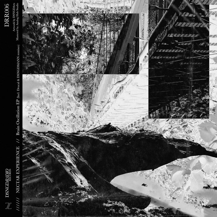 Brain Oscillation EP (Incl. Drucal & DSNGDMANN remixes) | Nectar ...