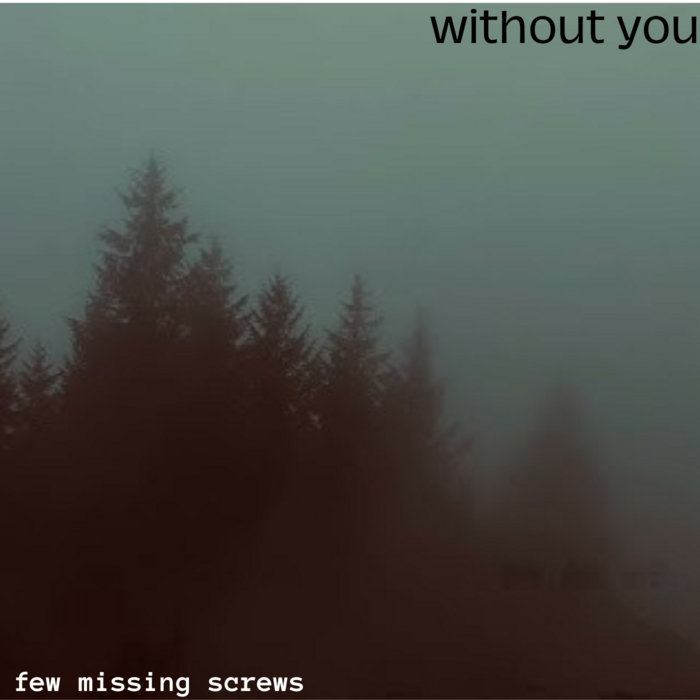 without you | few missing screws