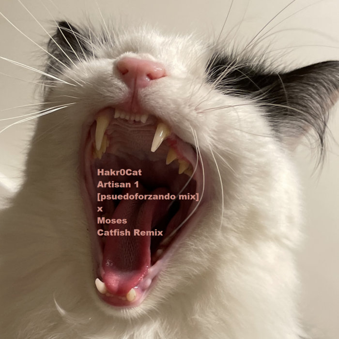 Hakr0Cat - Artisan 1 [psuedoforzando mix] x Moses Catfish Remix | Moses