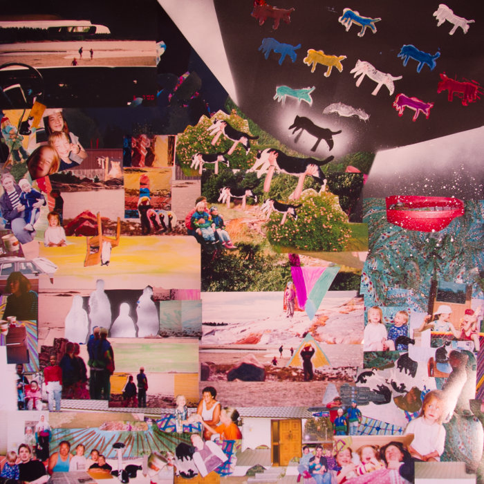 Animal Genie | Animal Genie