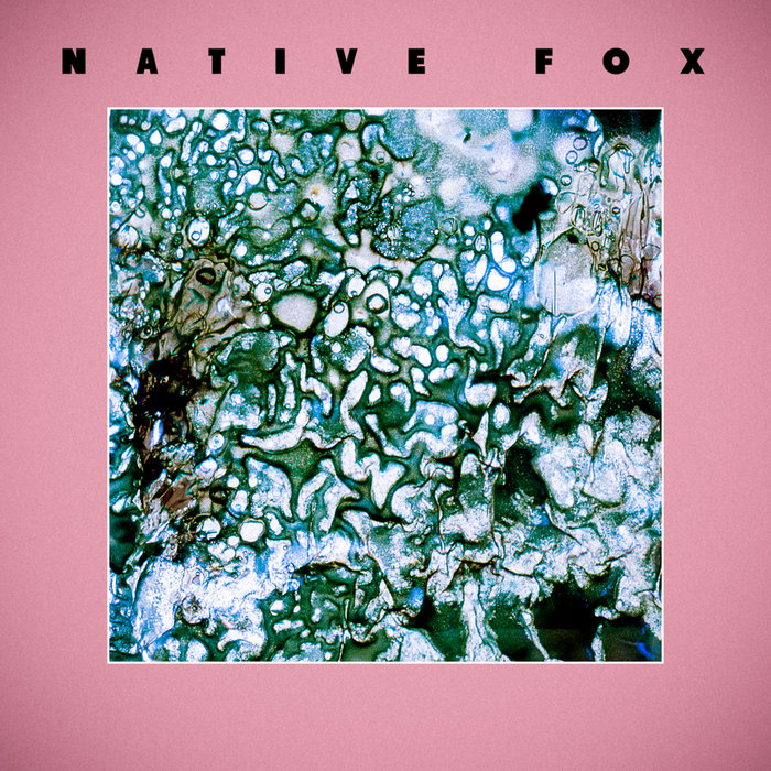 Native Fox | Native Fox