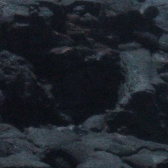 Null: Point of Origin | David Martinelli