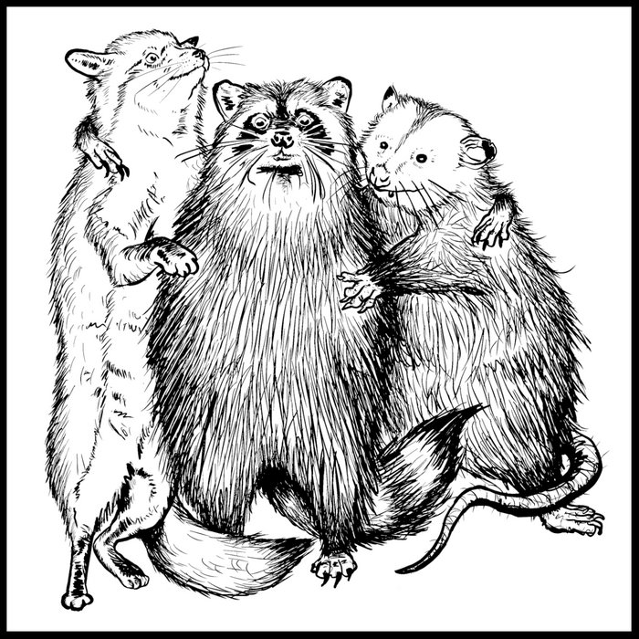 Hug Your Neck | C. Albert Blomquist