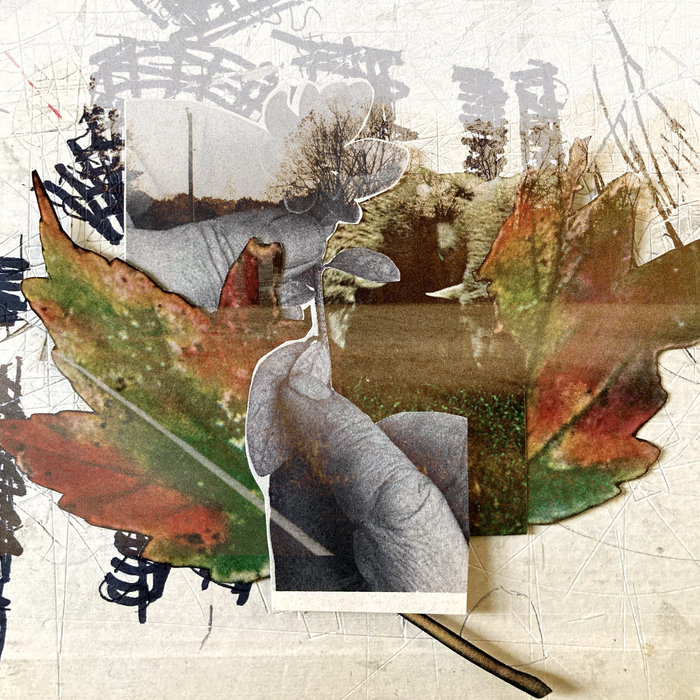 Company of Healing | FYR FYTR