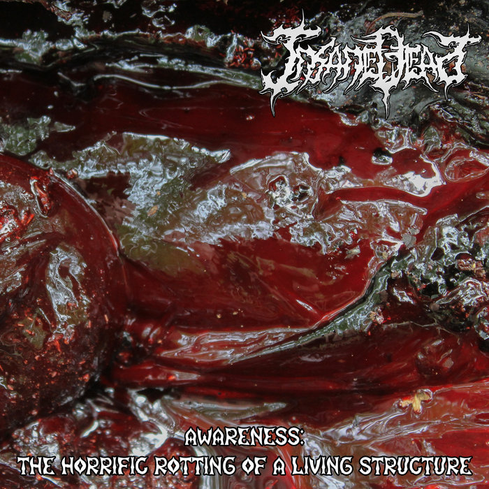 Awareness: The Horrific Rotting of a Living Structure | Insane Dead