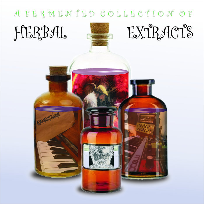 A Fermented Collection Of Herbal Extracts | Ernest Herb