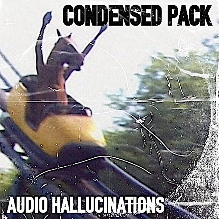 AUDIO HALLUCINATIONS - EP | CONDENSED PACK | VOIDFACE OFFICIAL