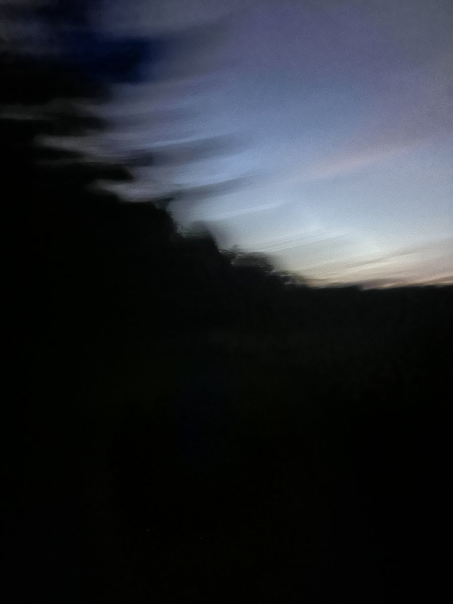 dayloops vol.1 | David Swick