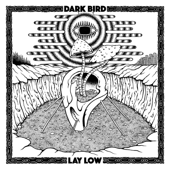 Lay Low | Dark Bird