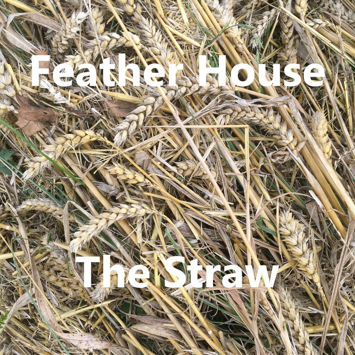 The Straw (Three Part Single) | Feather House