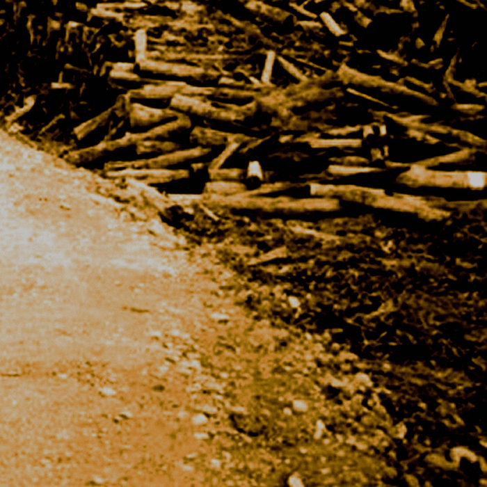 Early Botany | Coppice Halifax