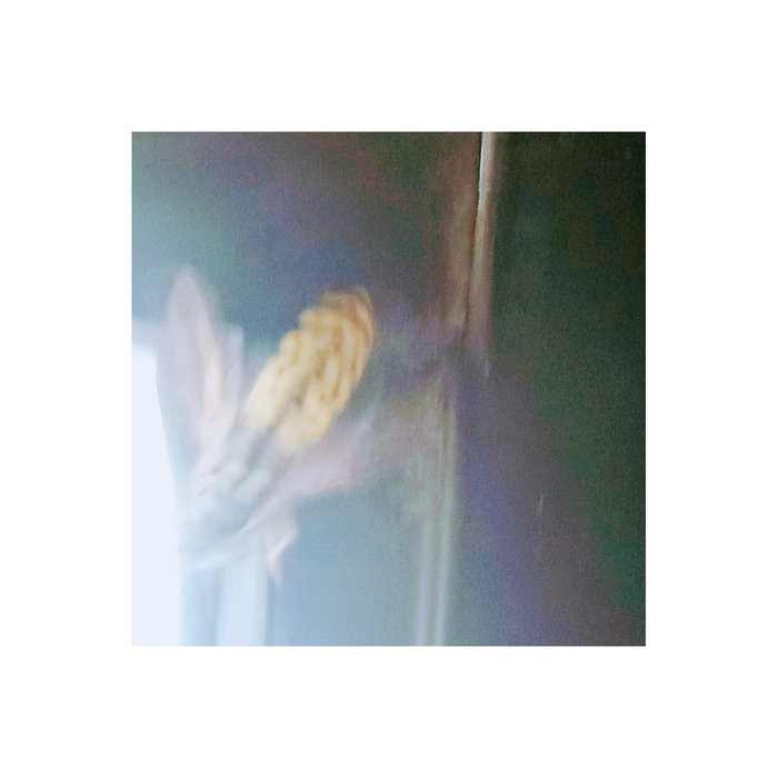 If you were coming in the fall | jowilliamson