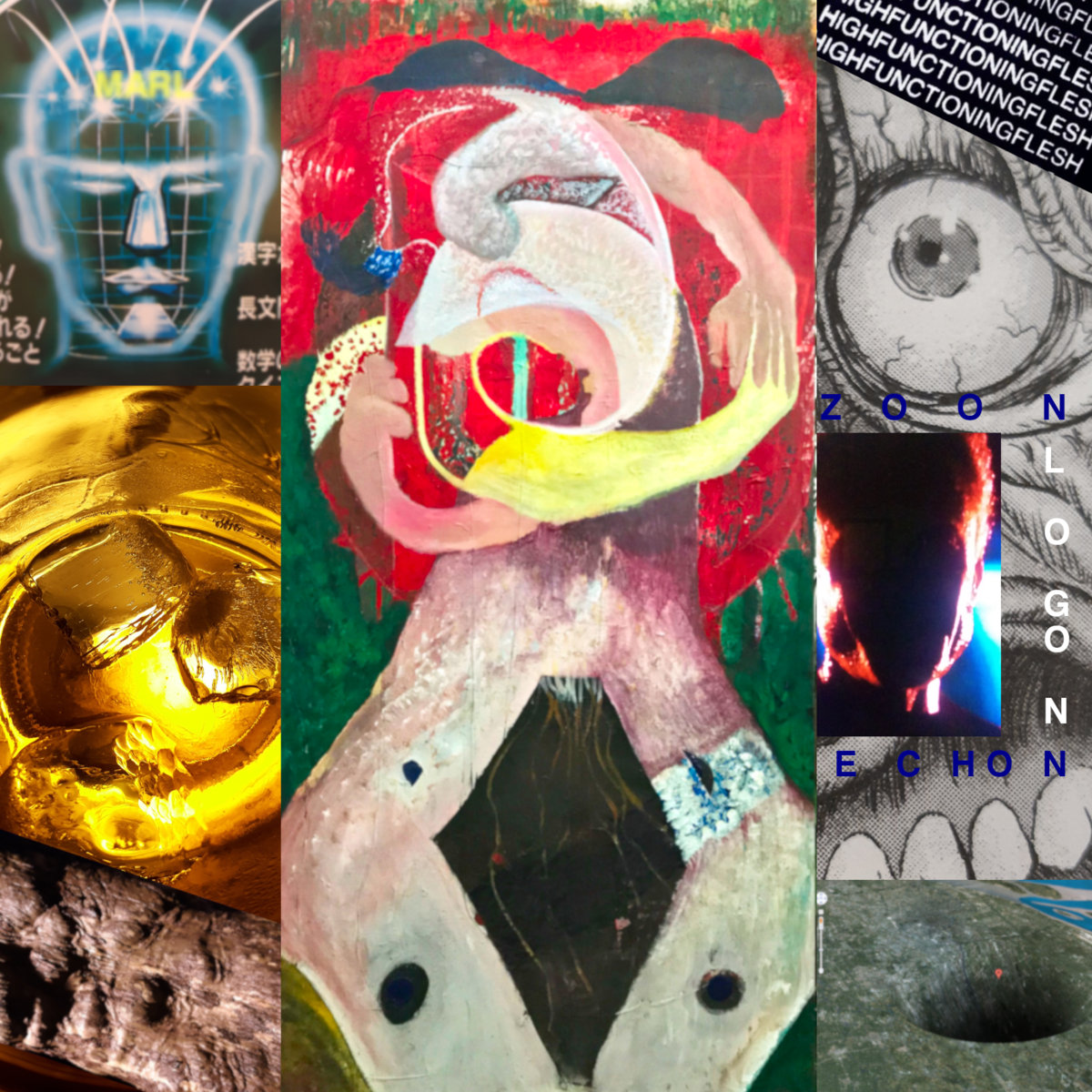 Zoon Logon Echon | Marl