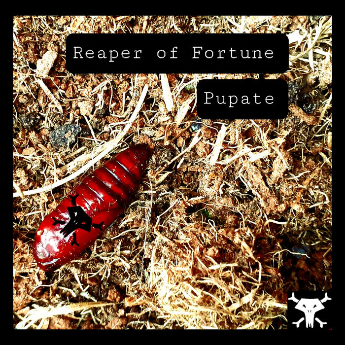 Pupate | Reaper of Fortune