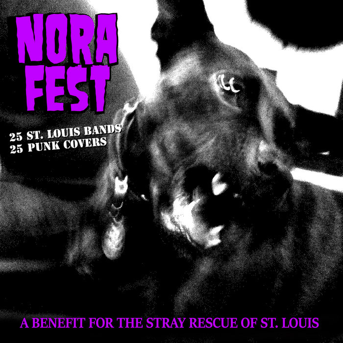 Nora-Fest: A Benefit for the Stray Rescue of St. Louis | The Lion's ...