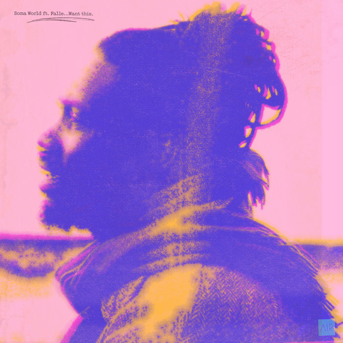 Want This - Ray Mang vocal remix | Soma World ft Falle