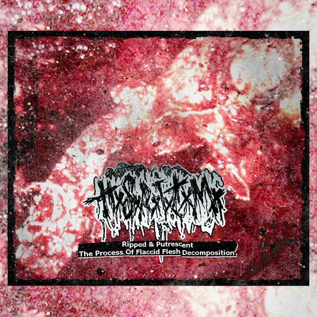Ripped & Putrescent - The Process Of Flaccid Flesh Decomposition ...