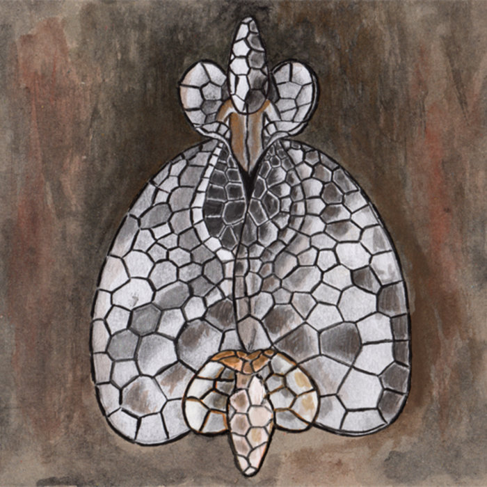 Phantasmata Domestica | Black Sun Productions with Mikael Karlsson ...