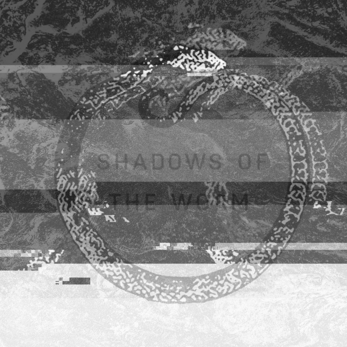 Shadows of the Worm | Leech Comforts