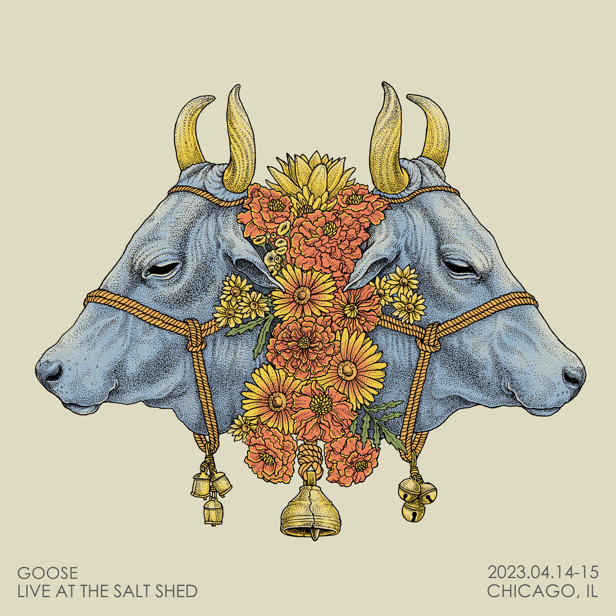 Live at The Salt Shed | Goose