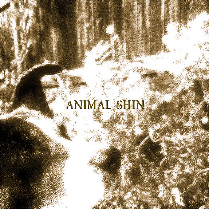 Time will Tell | Animal Shin