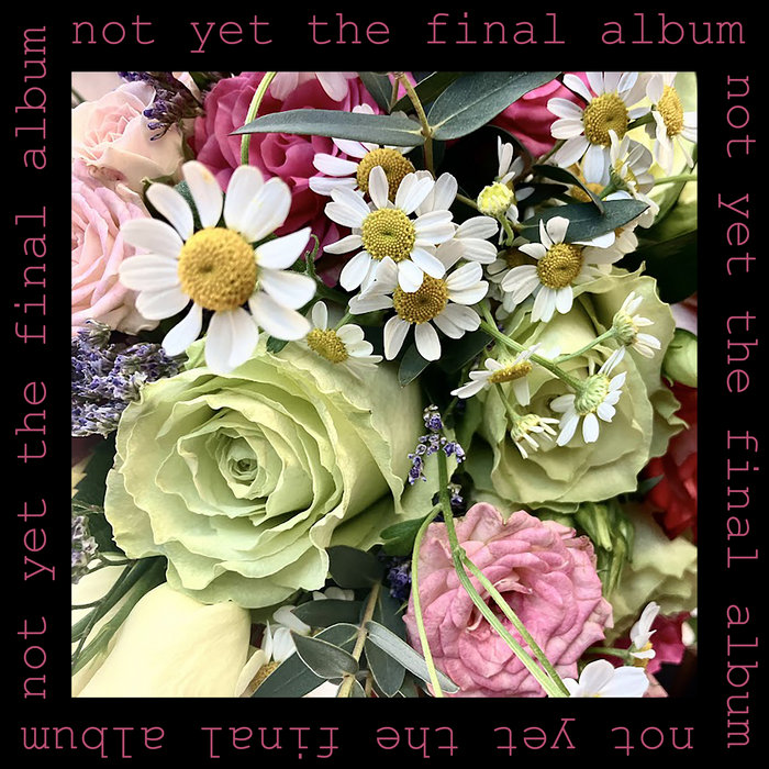 Not Yet - The Final Album | Not Yet | Timthetangent