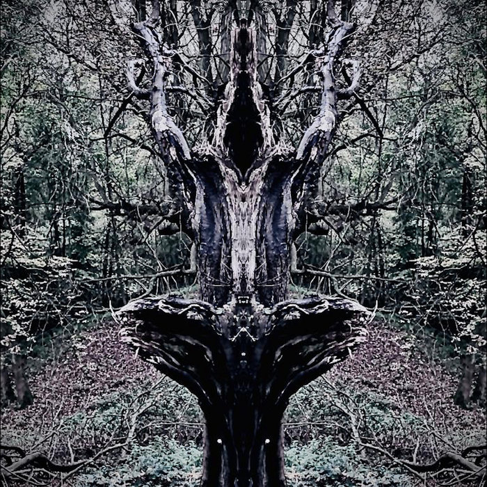 Vranyo | Post-Tech Collapse