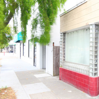 Music | The Reds, Pinks & Purples