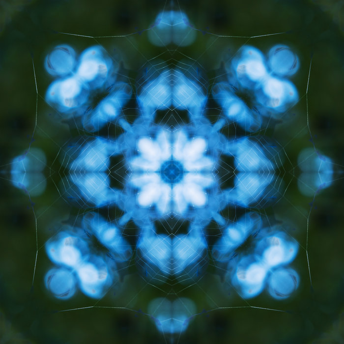 Weaving A Dream | DTime