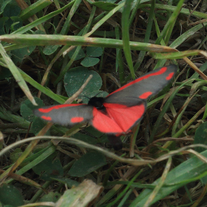 state of play | peter pick