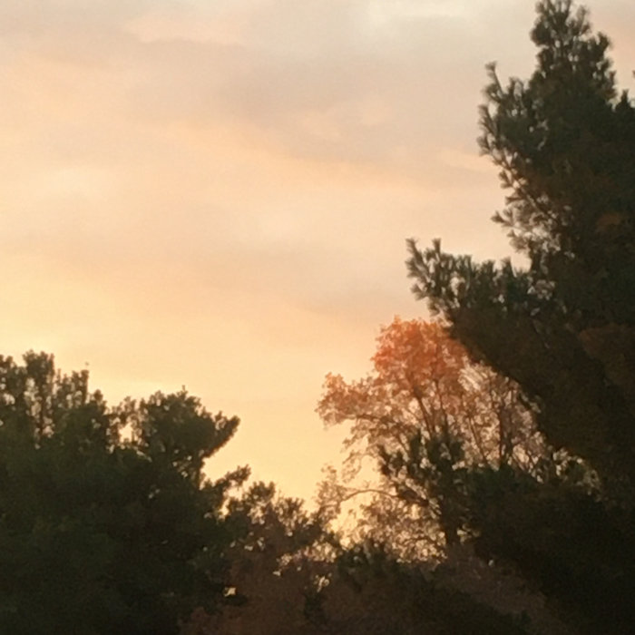 Crazy Old Lady | Rose Akerman